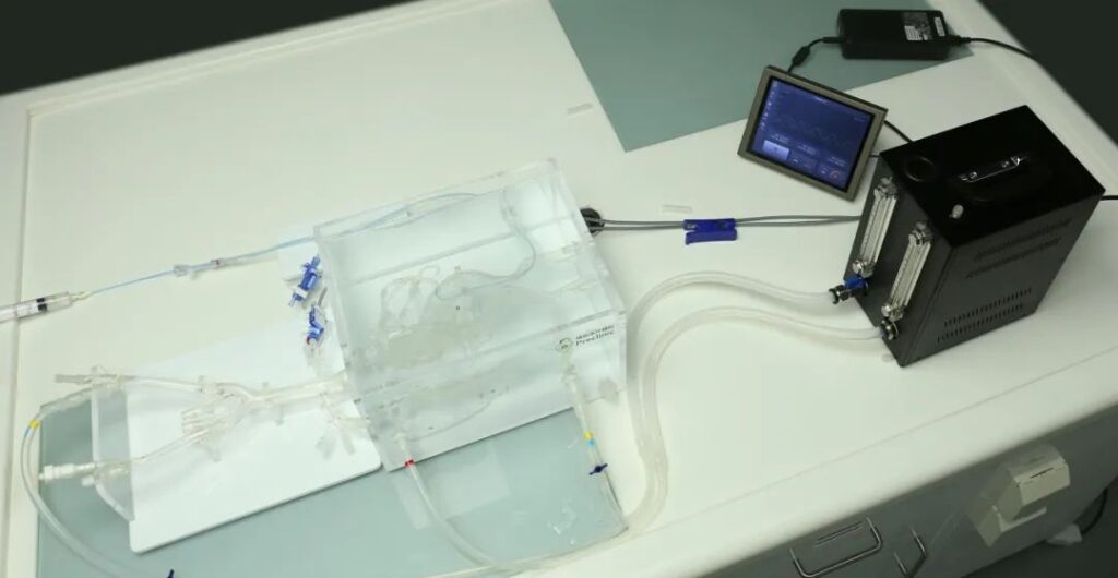 图2，ASTM F2394-07标准冠脉血管模型之一